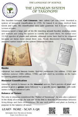 The Languages of Science – The National Museum of Language